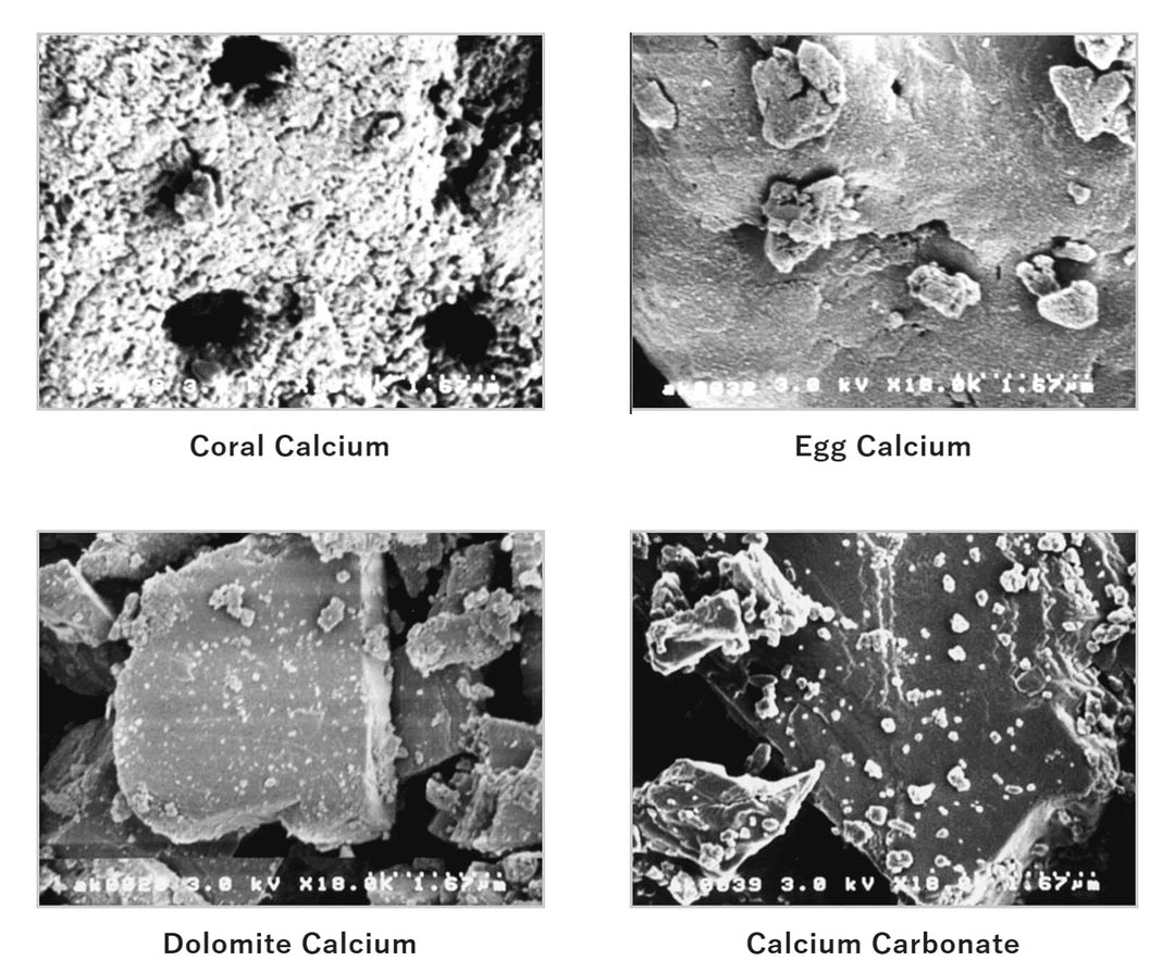 Is Coral Calcium Better Than Regular Calcium? | Coral Calcium Direct, Inc.